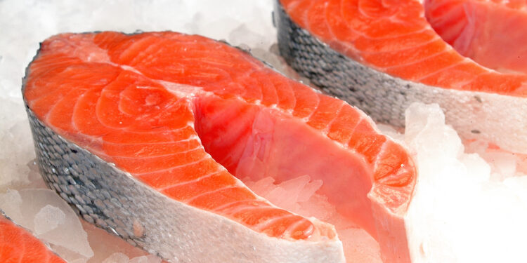 Salmofood lanza su ciclo de entrenamiento online, iniciando con ...